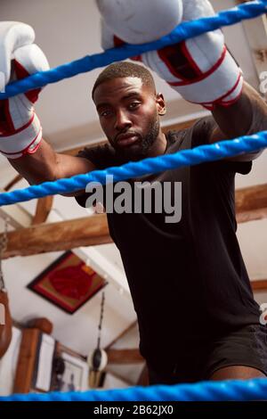 Portrait d'un boxeur mâle appuyé sur des cordes de boxe et regardant ...