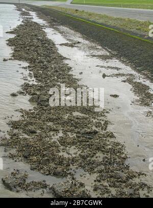 La mer des Wadden est une zone intertidale dans la partie sud-est de la ...