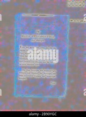 Manis longicaudata, Print, la pangoline à queue longue (Phataginus ...