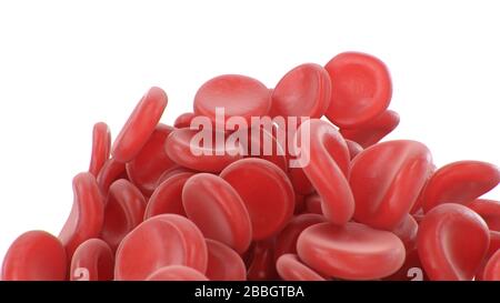 Globules blancs des monocytes dans un frottis sanguin, illustration de ...