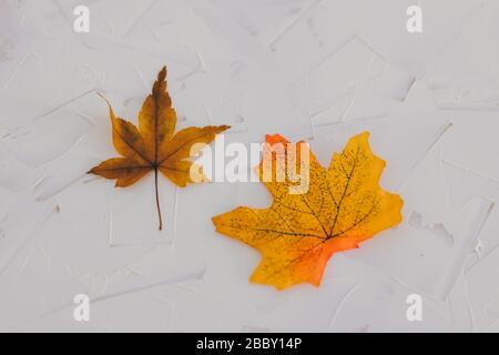 série conceptuelle de la vie fixe réelle contre fausse, véritable ...