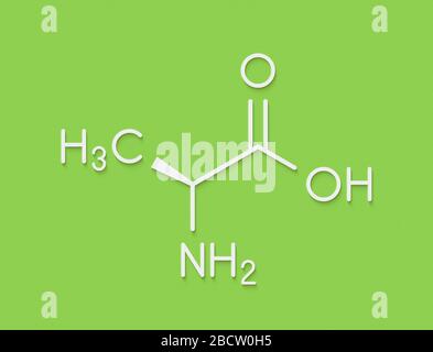 L'alanine (Ala), un acide aminé, le modèle moléculaire. Les acides ...