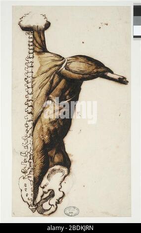 Géricault -Anatomie de l'homme. Etude du squelette et de la musculature ...