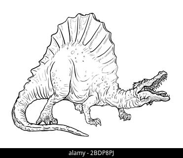 Dinosaure carnivore - Spinosaurus. Dessin isolé Dino. Modèle de cahier de coloriage Photo Stock ...