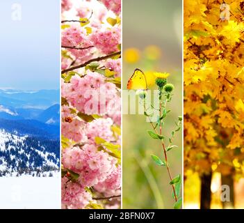 Les différentes saisons de l'année - quelques photos de la belle nature ...