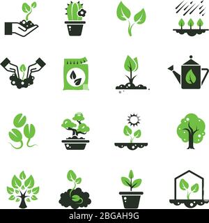Icônes vectorielles arbre et plantes. Pictogrammes de semis et de ...