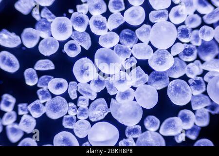 cristaux de sel incroyables sous le microscope Photo Stock - Alamy