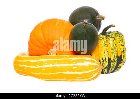 Citrouilles isolées. Début de l'automne et récolte de différentes ...