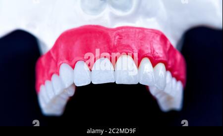 La mâchoire humaine avec l'anatomie des dents et des gencives en illustration médicale modèle ...