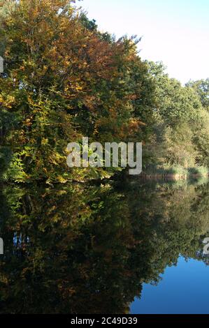 Ash Vale, Surrey, canal Basingstoke Photo Stock - Alamy