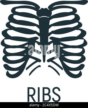 Rib Cage,,xray,body,dos,sternum sternum,calcium,chirurgie,médecine ...