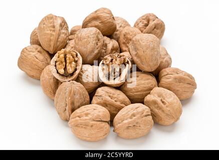 Noyer (fruit) dans la botanique, le terme noyer (ou noix) est appliqué ...