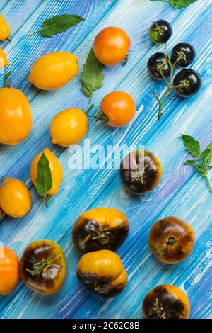 Mélanger le fond de tomates. Plusieurs variétés de tomates le jour d ...