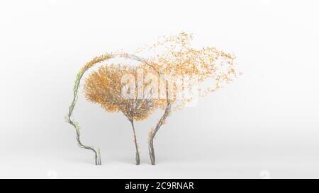 Arbre généalogique cerveau concept d'un arbre qui pousse dans la forme ...