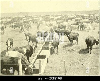 Moulin à vent, réservoir d'eau, gouttière, Bates Well Ranch, El Camino ...