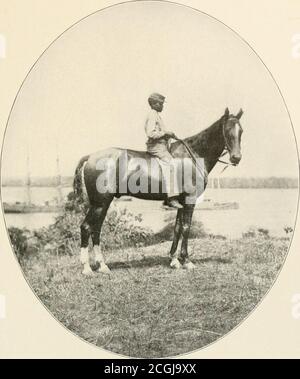 Général de brigade John A. Rawlins, à gauche, Lieutenant-général des ...