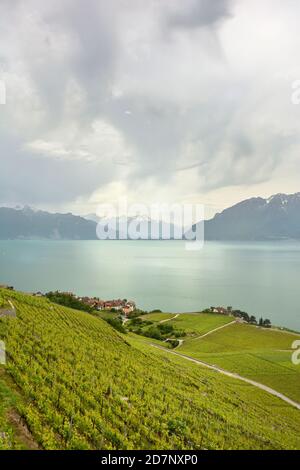 Vignobles Lavaux sur terrasses, site classé au patrimoine mondial de l ...