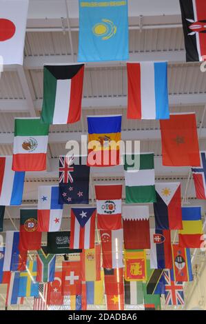 Les drapeaux de tous les pays à travers le monde, du drapeau ...
