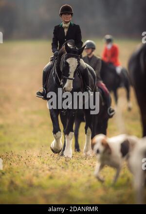 Les membres du Hamilton Hunt Club en Ontario Canada préparent et ...
