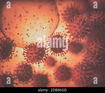 Structure virale. La particule virale est constituée d'un noyau d'acide ...