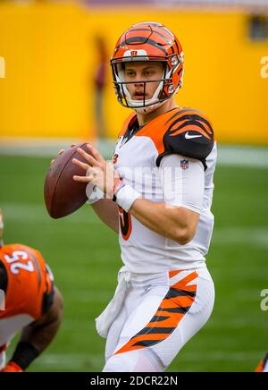 22 novembre 2020 : le quarterback des Bengals de Cincinnati Joe Burrow ...