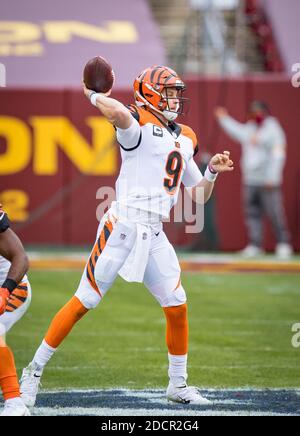22 novembre 2020 : le quarterback des Bengals de Cincinnati Joe Burrow ...