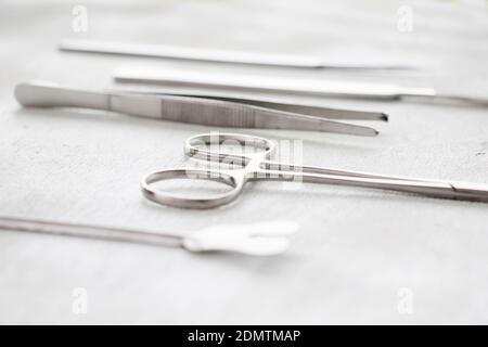 Kit de dissection - Outils en acier inoxydable de qualité supérieure ...