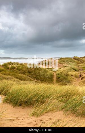 Plage forestière de Traeth Llanddwyn Newborough, Réserve naturelle ...