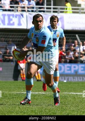 USA David Marty de Perpignan lors du match de rugby français Top 14 ...