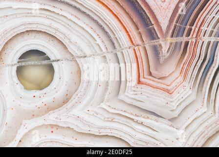 Gros plan d'une agate Laguna coupée et polie du Mexique, présentant ses ...