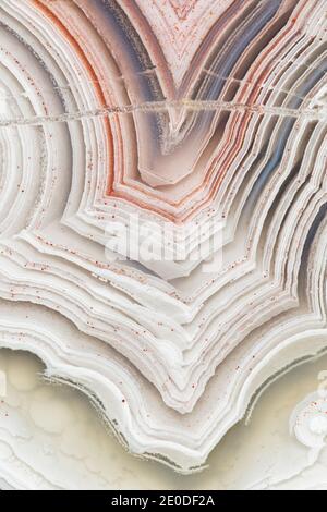 Gros plan d'une agate Laguna coupée et polie du Mexique, présentant ses ...