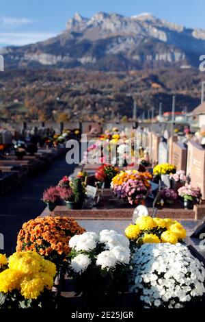 La Toussaint dans un cimetière. Chrysanthème et croix chrétienne sur la ...