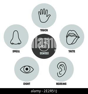 Sentiments humains. Illustration vectorielle Five Senses. Icônes des ...