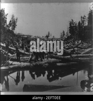 Pineries du Minnesota, (sur le lecteur) Pineries du Minnesota, (sur la ...