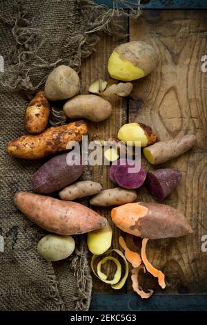 Différents types de pommes de terre: Glorietta, patate douce pourpre ...