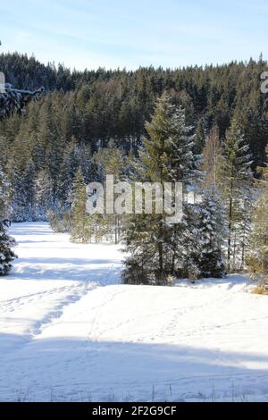 Allemagne, Bavière, montagnes, Hirzeneck, paysage d'hiver, Haute ...
