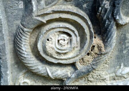 Le théâtre de l'Amphiareion oropos Grèce, gros plan de la colonne de ...