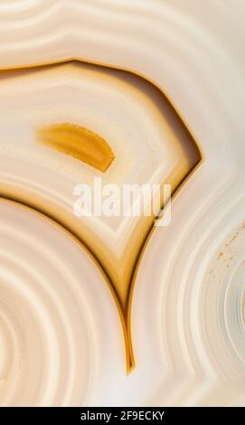 Gros plan d'une tranche d'agate brésilienne avec des tourbillons et des ...