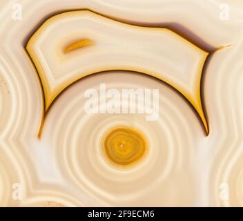 Gros plan d'une tranche d'agate brésilienne avec des tourbillons et des ...