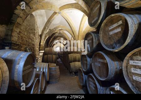France, Jura, Arbois , une des plus belles caves de la ville Cave de la ...