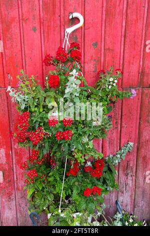 Pots de fleurs accrochés au mur le long de la rue dans le village blanc ...