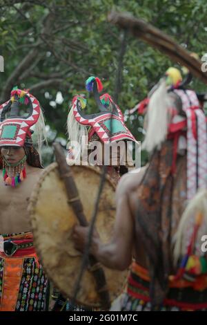 Artistes de 'caci' (combat traditionnel du whip de Flores Island, art ...