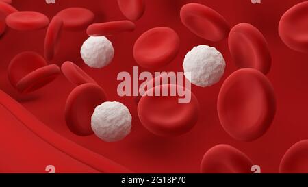 Les globules rouges, les leucocytes ou globules blancs, sont les ...