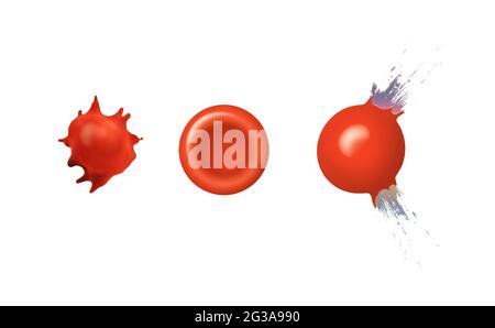 L'osmose cellulaire, cellule dans une solution isotonique, cellule de ...