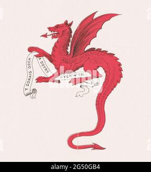 Le dragon gallois - il apparaît sur le drapeau national du pays de ...
