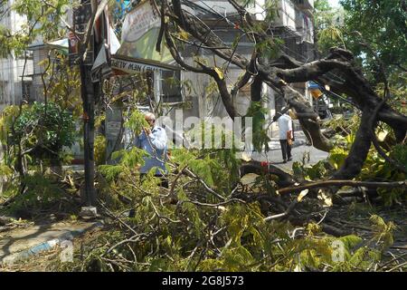 Un cyclone dévastateur secoua toute la ville. La ville de Joy est ...