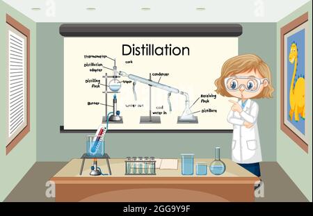 Schéma du processus de distillation pour l'illustration de l ...