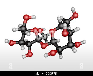 Molécule de saccharose Photo Stock - Alamy