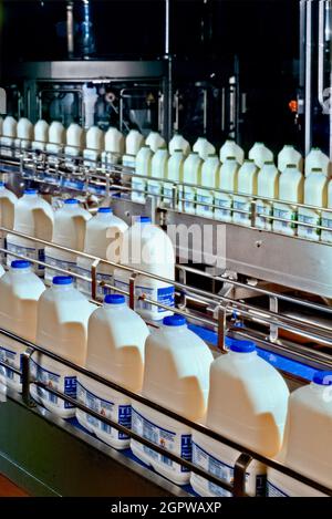 Usine de produits laitiers. Avec convoyeur de bouteilles de lait Photo ...