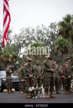 Le colonel William M. Martin est promu au grade de colonel lors d'une ...